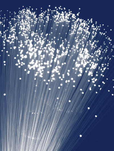 Services Filaires - Trigenex